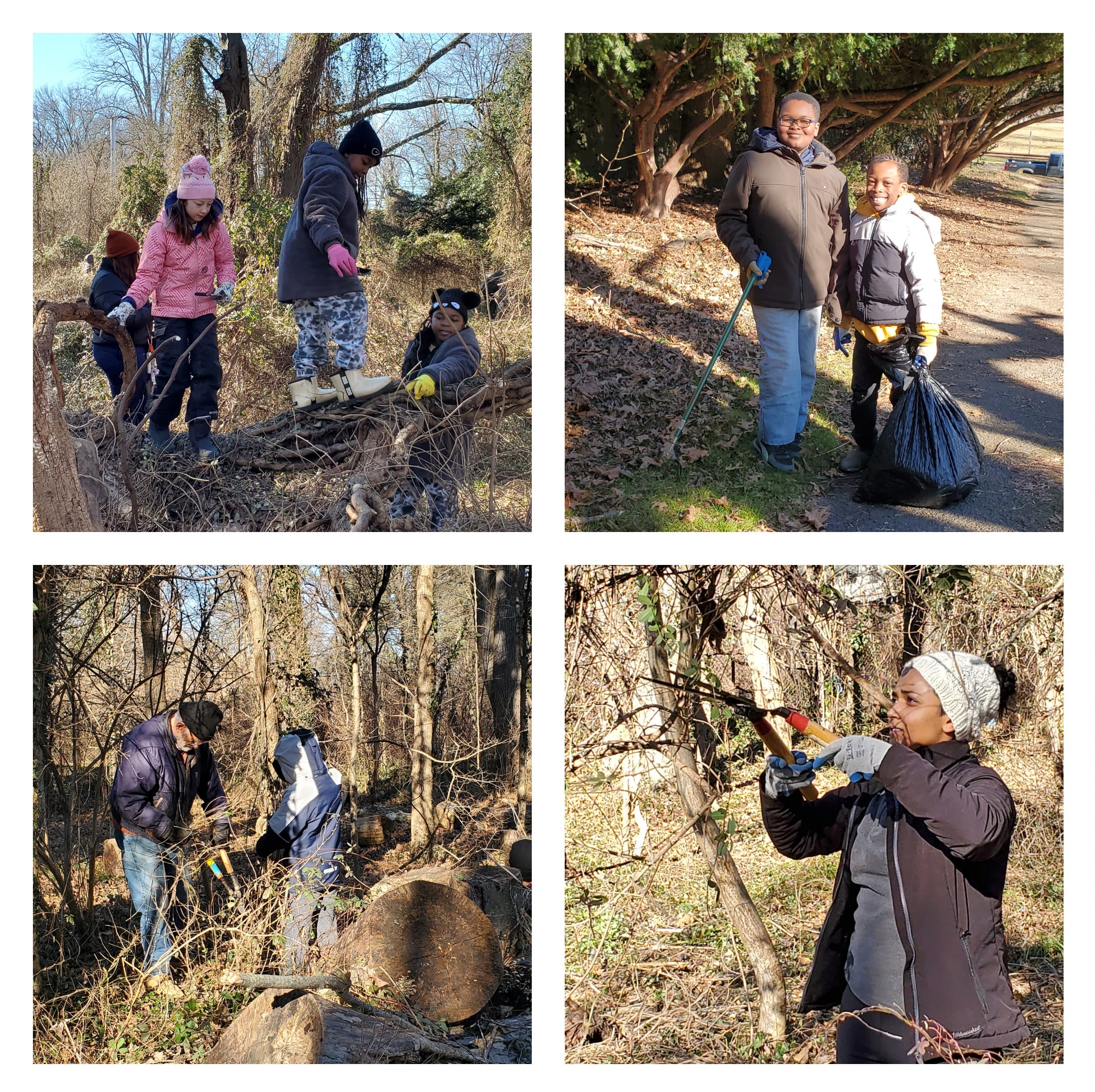 2024 MLK Day of Service at Awbury Arboretum - Awbury Arboretum ...