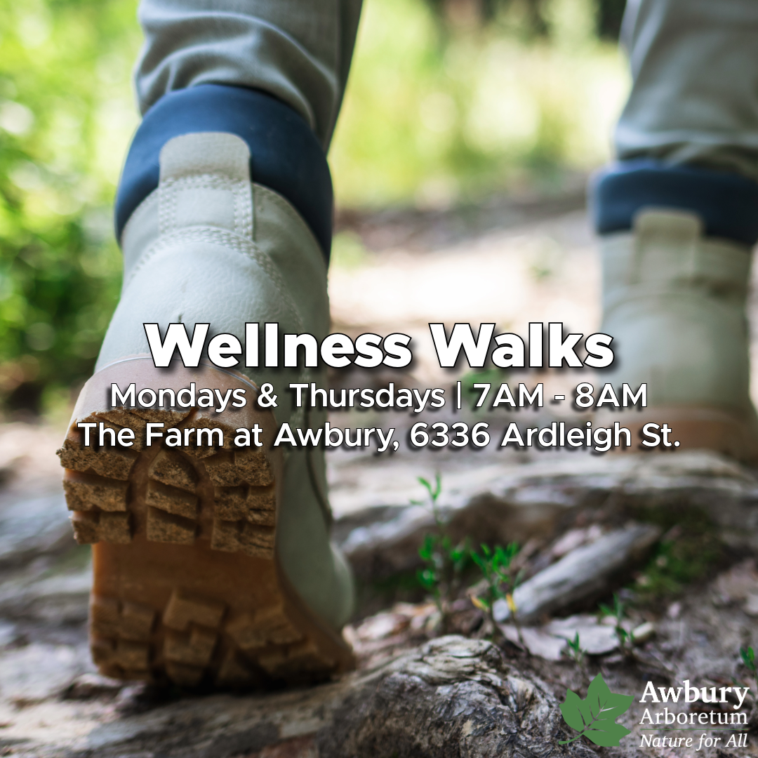 Wellness Walks - Awbury Arboretum | Philadelphia, PA