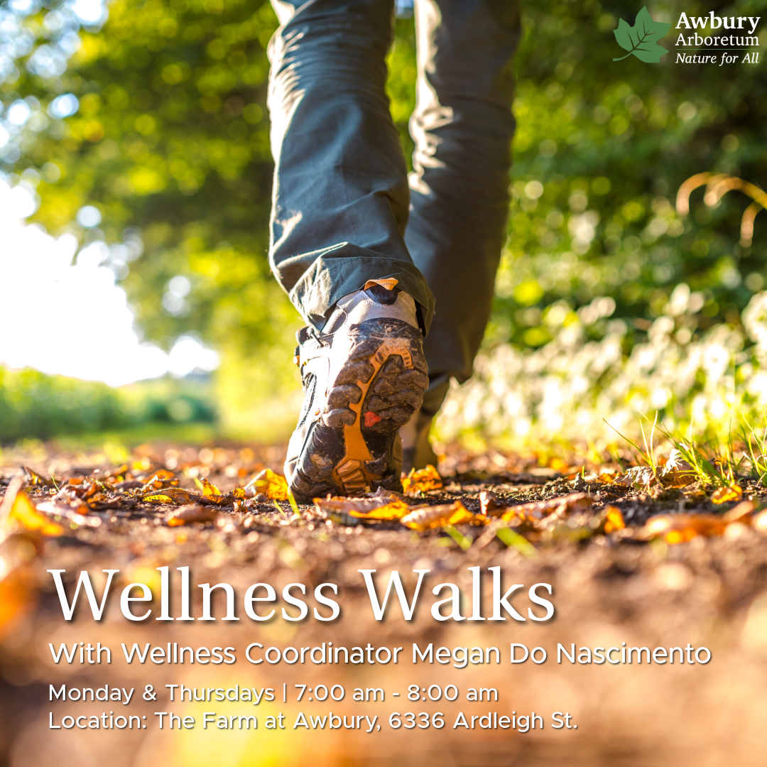 Wellness Walks - Awbury Arboretum | Philadelphia, PA